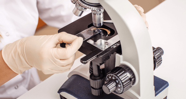 Pet Lab Testing Near Me 73170 - Capstone Veterinary Care